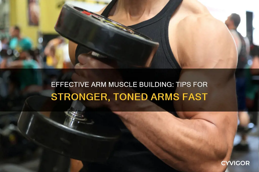 Effective Arm Muscle Building: Tips For Stronger, Toned Arms Fast | CyVigor