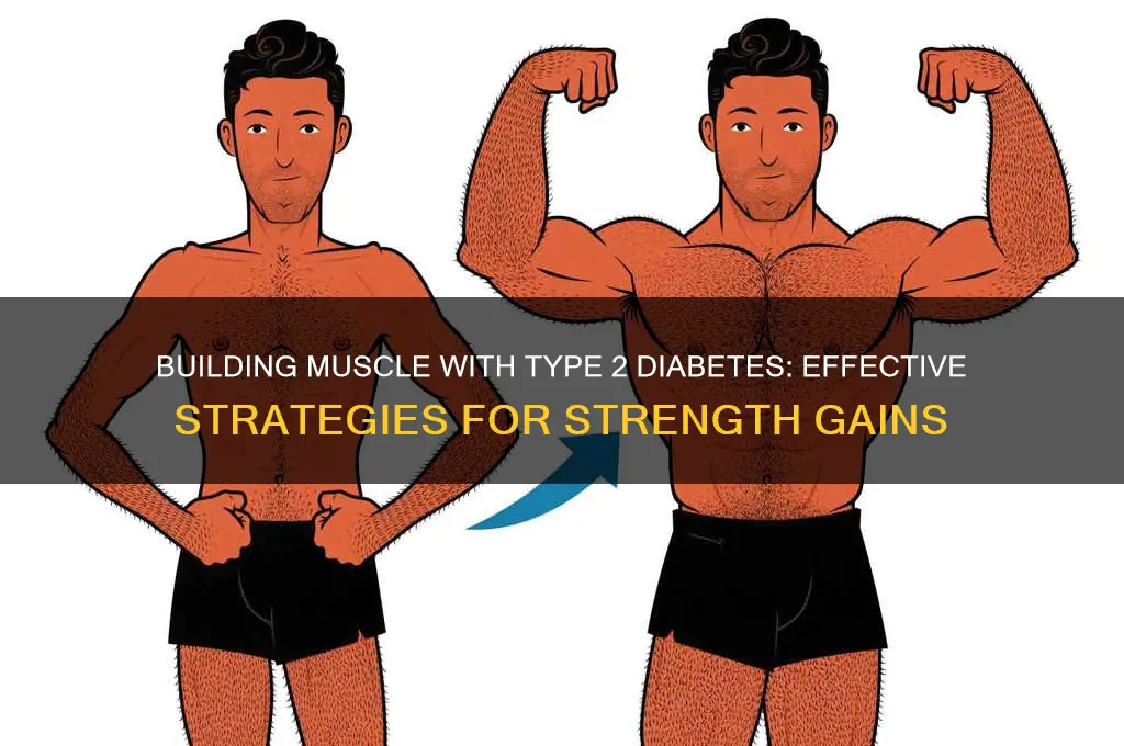 Building Muscle With Type 2 Diabetes: Effective Strategies For Strength ...
