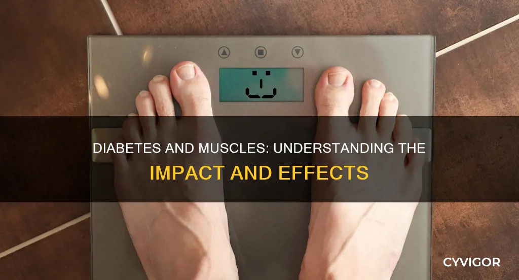 Diabetes And Muscles: Understanding The Impact And Effects | CyVigor