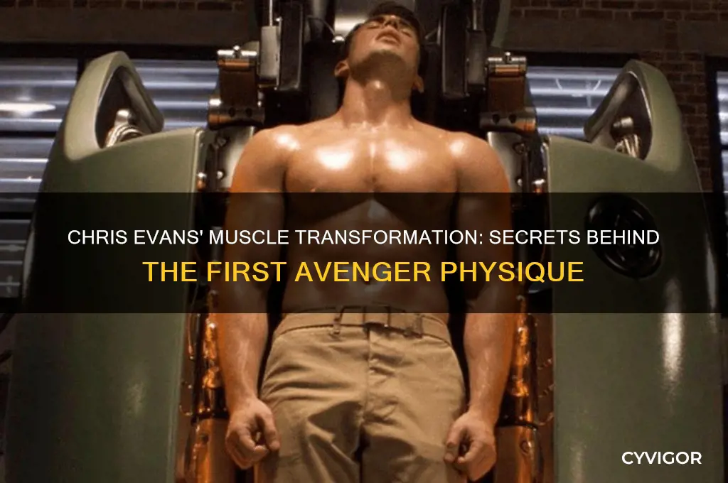 Chris Evans' Muscle Transformation: Secrets Behind The First Avenger ...