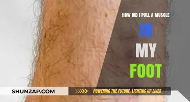 Pulled Intercostal Muscle: Symptoms, Causes, And Recovery Tips ...