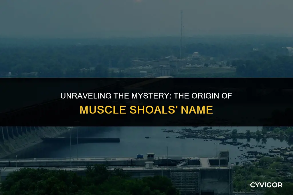 Unraveling The Mystery: The Origin Of Muscle Shoals' Name | CyVigor