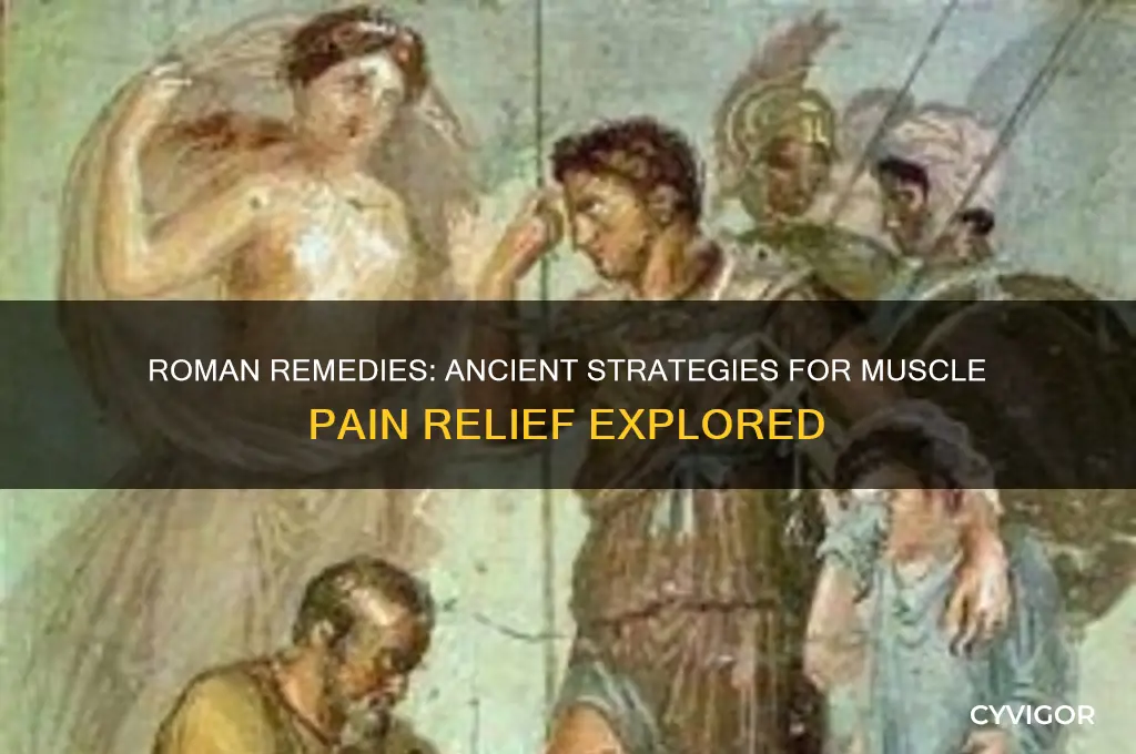 Roman Remedies: Ancient Strategies For Muscle Pain Relief Explored ...