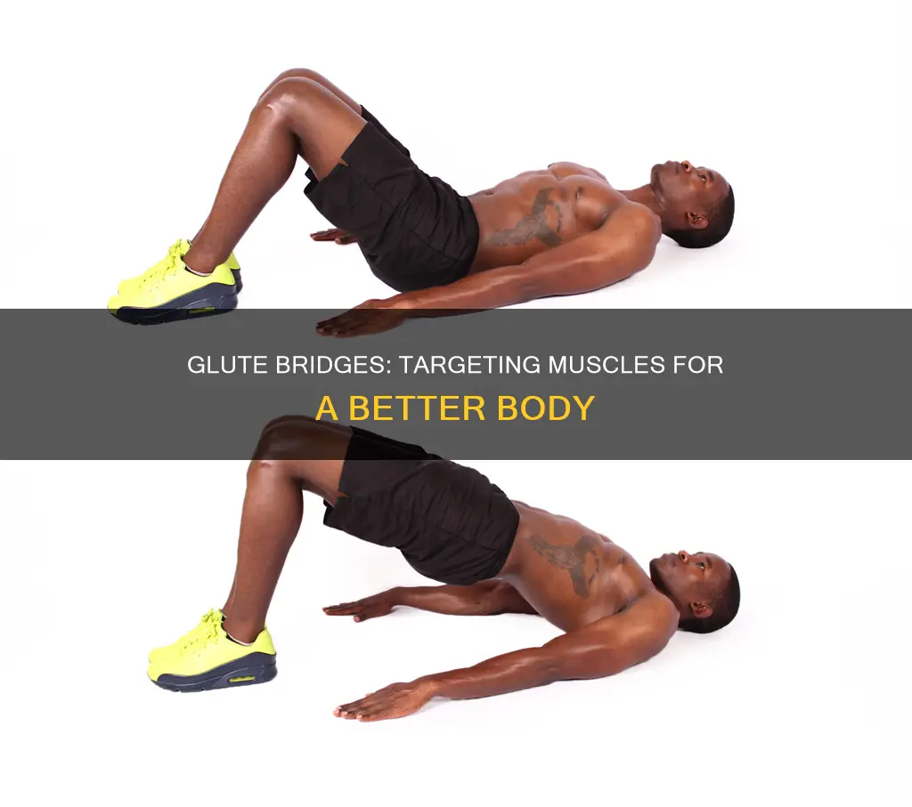 Glute Bridges: Targeting Muscles For A Better Body | CyVigor