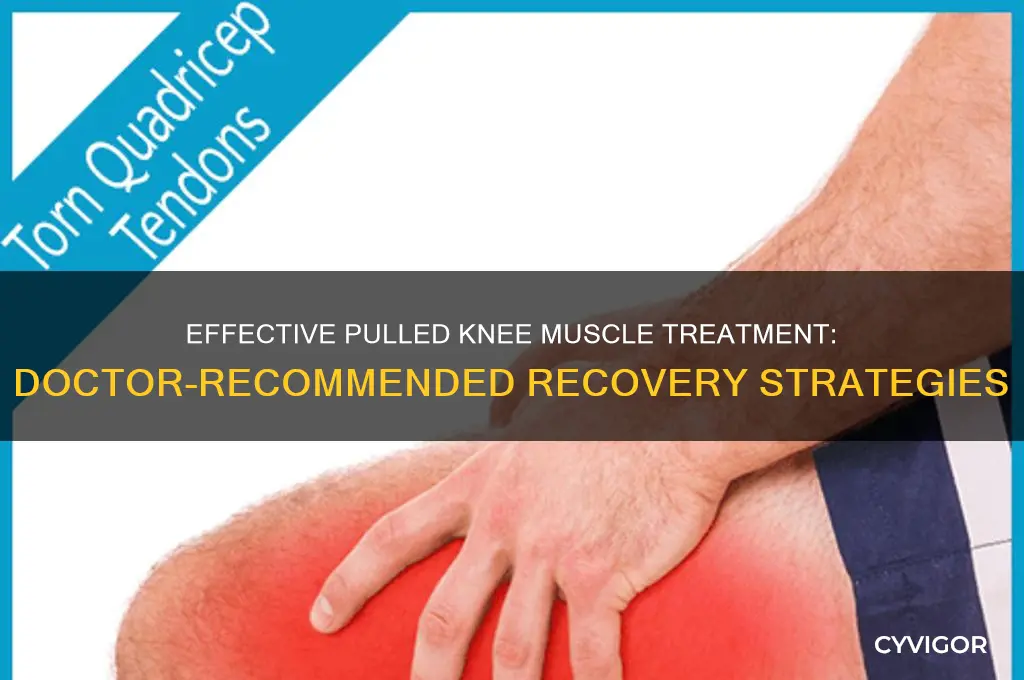 Effective Pulled Knee Muscle Treatment: Doctor-Recommended Recovery ...