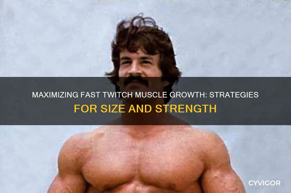 Maximizing Fast Twitch Muscle Growth: Strategies For Size And Strength ...