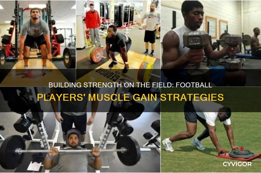 Building Strength On The Field: Football Players' Muscle Gain ...