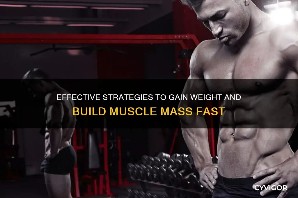 Effective Strategies To Gain Weight And Build Muscle Mass Fast | CyVigor