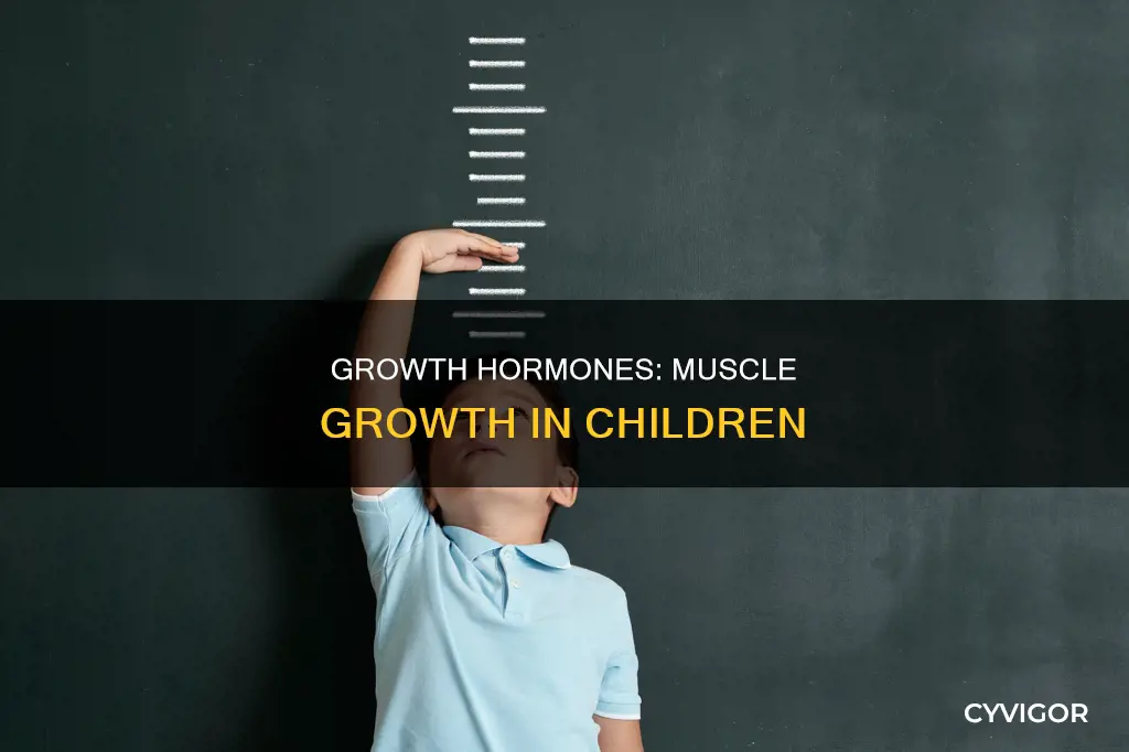 Growth Hormones: Muscle Growth In Children | CyVigor