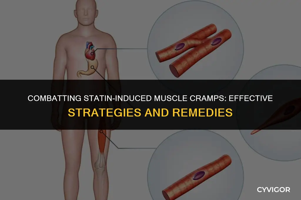 Combatting Statin-Induced Muscle Cramps: Effective Strategies And ...