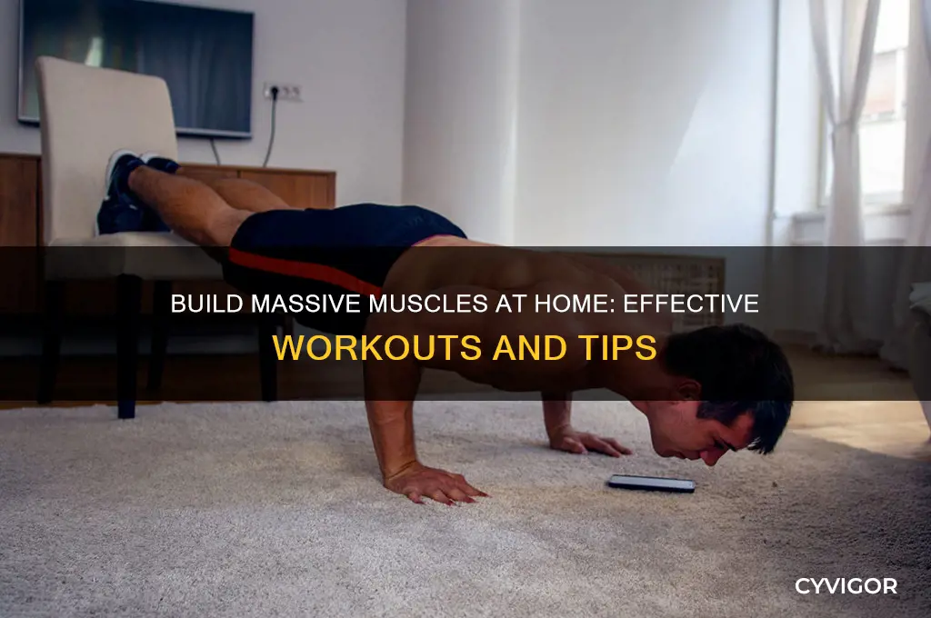 Build Massive Muscles At Home: Effective Workouts And Tips | CyVigor