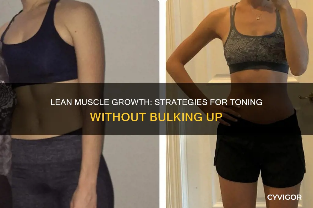 Lean Muscle Growth: Strategies For Toning Without Bulking Up | CyVigor