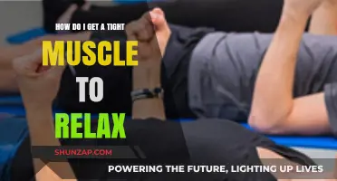 Muscle Cell Adaptations: Unlocking The Secrets Of Contraction And ...