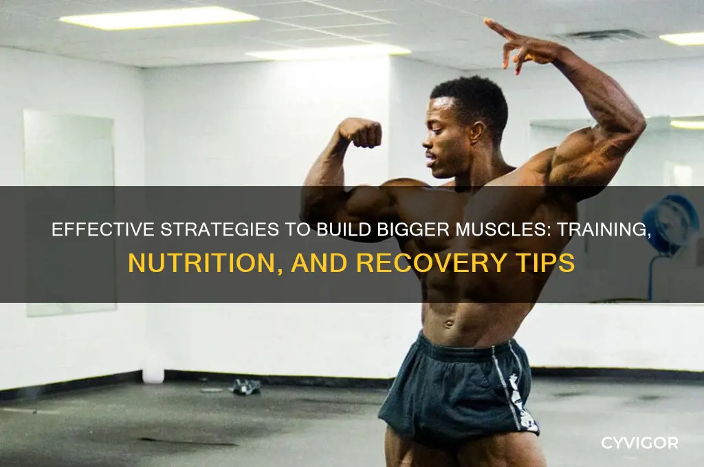 Effective Strategies To Build Bigger Muscles: Training, Nutrition, And ...