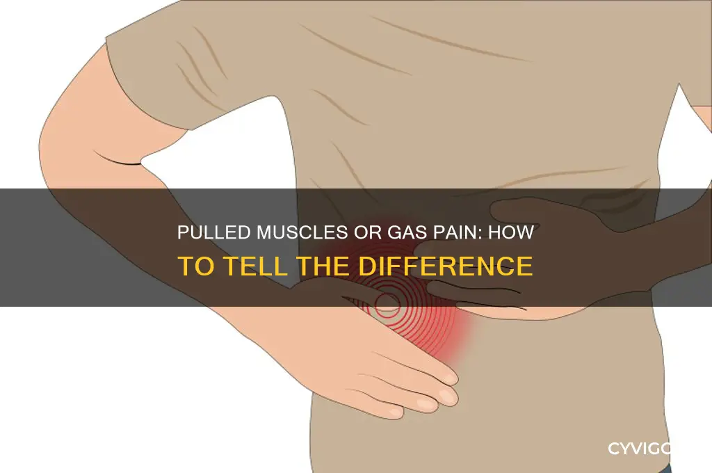 Pulled Muscles Or Gas Pain: How To Tell The Difference | CyVigor