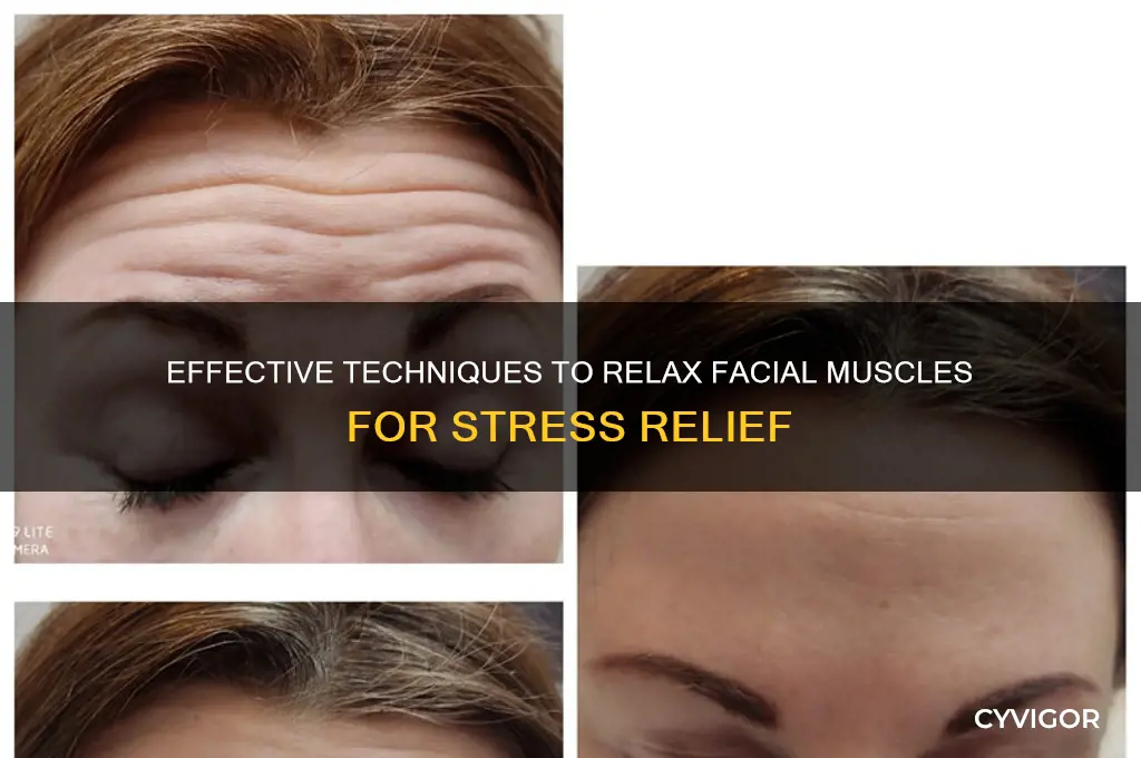 Effective Techniques To Relax Facial Muscles For Stress Relief | CyVigor