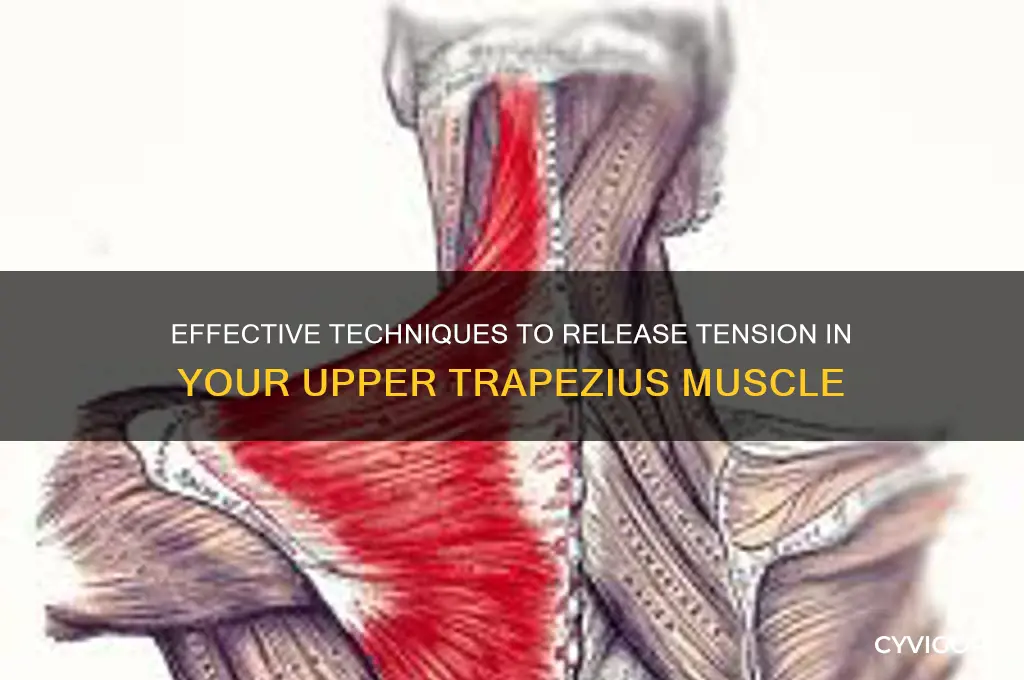 Effective Techniques To Release Tension In Your Upper Trapezius Muscle ...