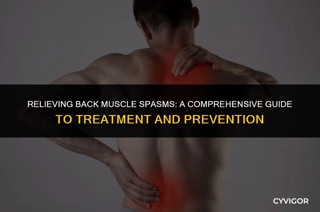 Relieving Back Muscle Spasms: A Comprehensive Guide To Treatment And ...
