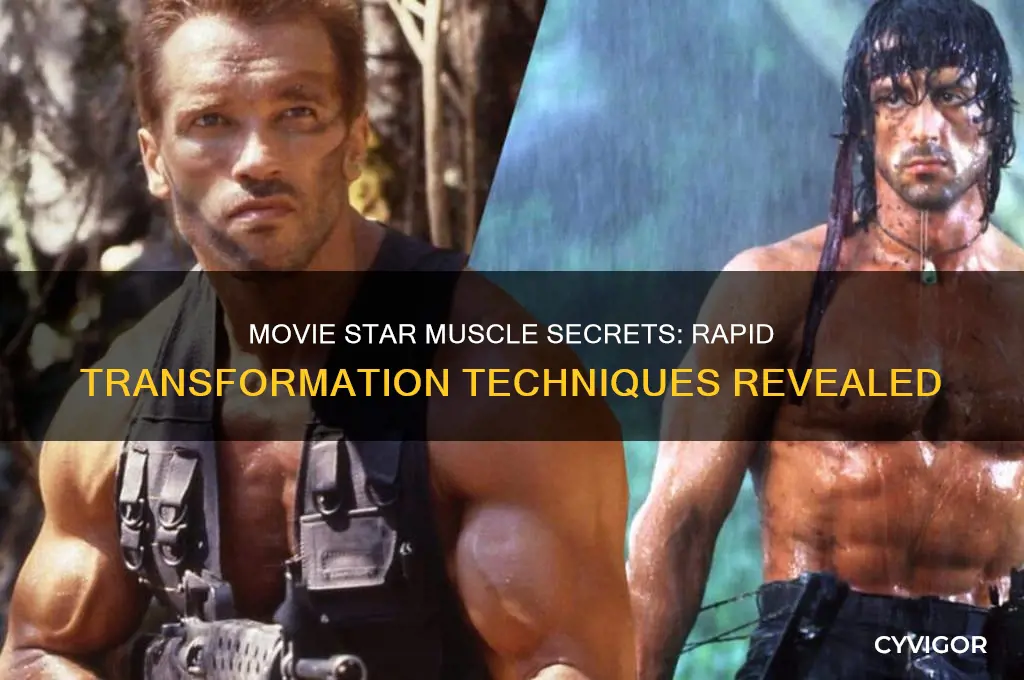 Movie Star Muscle Secrets: Rapid Transformation Techniques Revealed ...