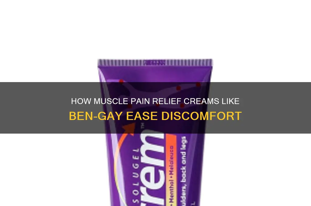 How Muscle Pain Relief Creams Like Ben-Gay Ease Discomfort | CyVigor
