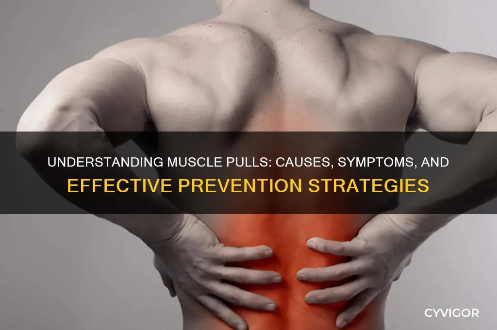Understanding Muscle Pulls: Causes, Symptoms, And Effective Prevention ...