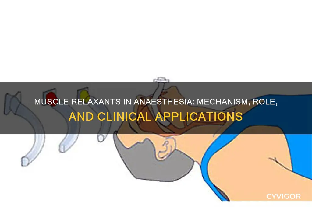 Muscle Relaxants In Anaesthesia: Mechanism, Role, And Clinical ...