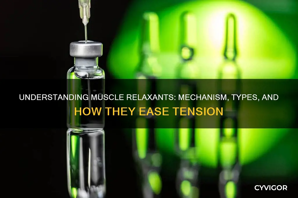 Understanding Muscle Relaxants: Mechanism, Types, And How They Ease ...