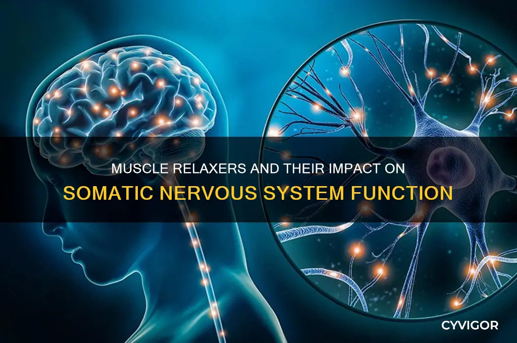 Muscle Relaxers And Their Impact On Somatic Nervous System Function ...