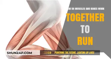 Understanding Muscle Spasms: Causes, Mechanisms, And Relief Strategies ...
