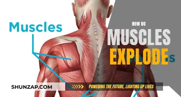 Understanding Muscle Flexing: The Science Behind Movement | CyVigor