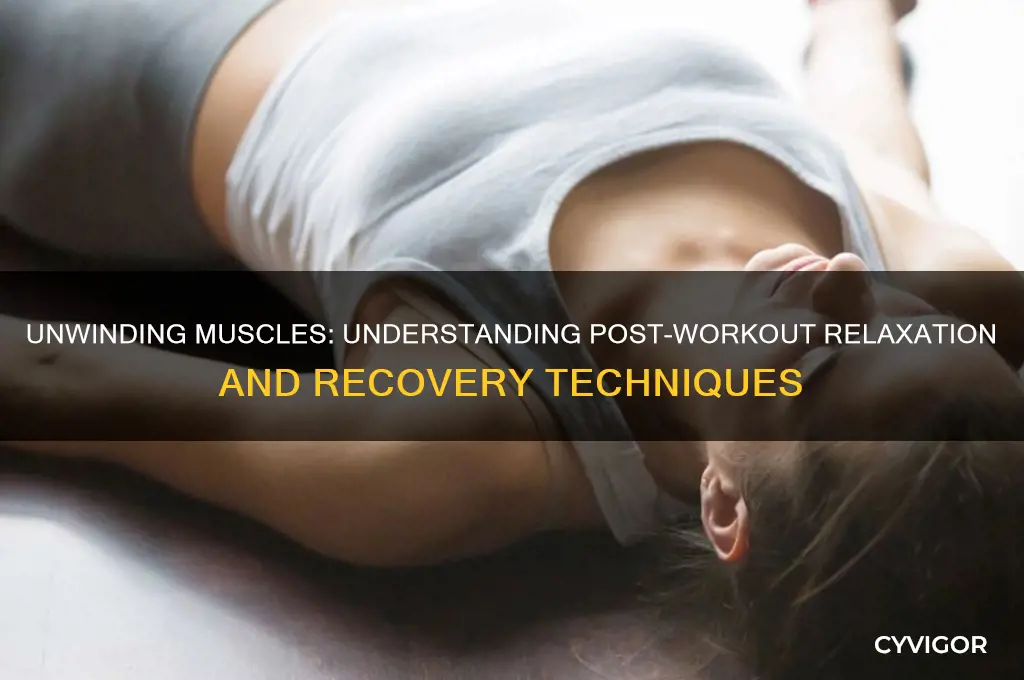 Unwinding Muscles: Understanding Post-Workout Relaxation And Recovery ...