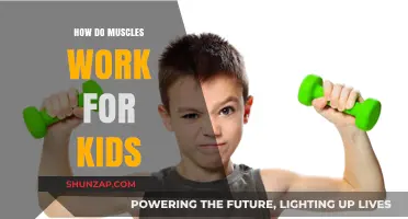 Understanding Muscle Mechanics: How Muscles Generate Movement And ...