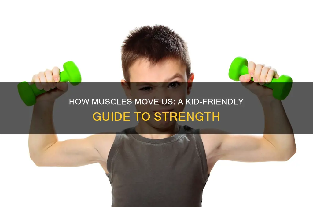 How Muscles Move Us: A Kid-Friendly Guide To Strength | CyVigor