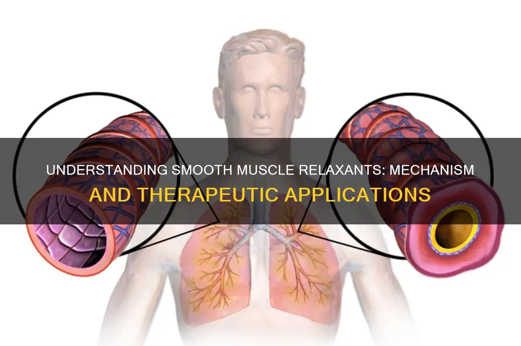Understanding Smooth Muscle Relaxants: Mechanism And Therapeutic ...