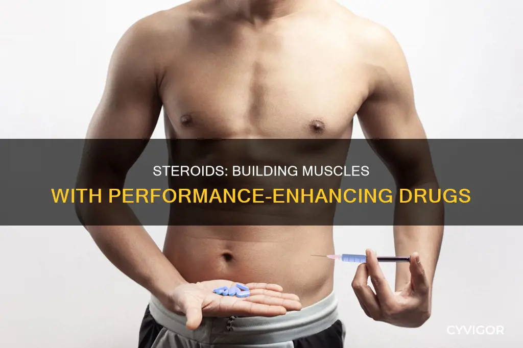 Steroids: Building Muscles With Performance-Enhancing Drugs | CyVigor