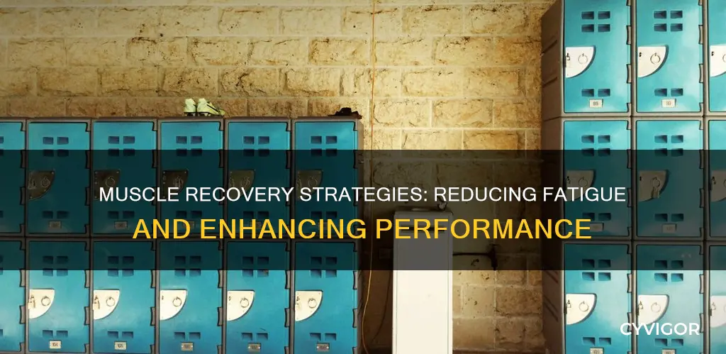 Muscle Recovery Strategies: Reducing Fatigue And Enhancing Performance ...