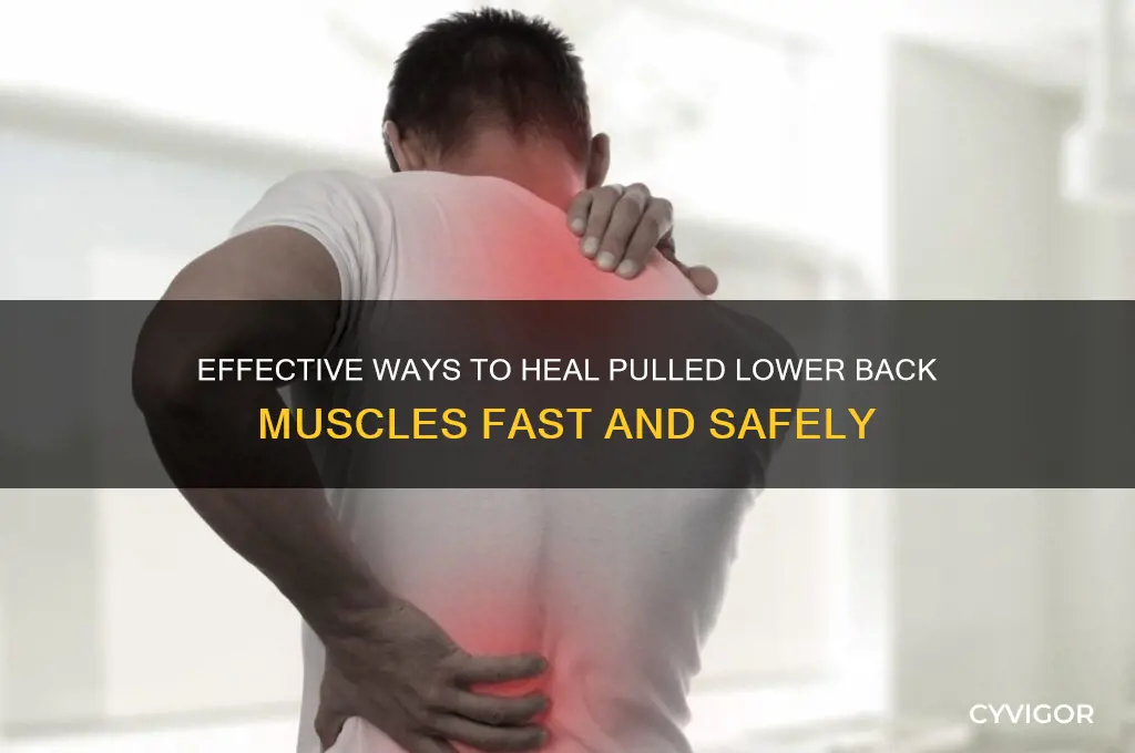 Effective Ways To Heal Pulled Lower Back Muscles Fast And Safely | CyVigor