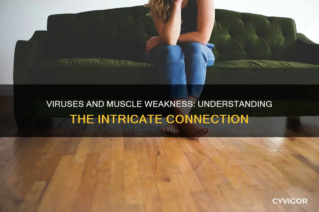 Viruses And Muscle Weakness: Understanding The Intricate Connection ...