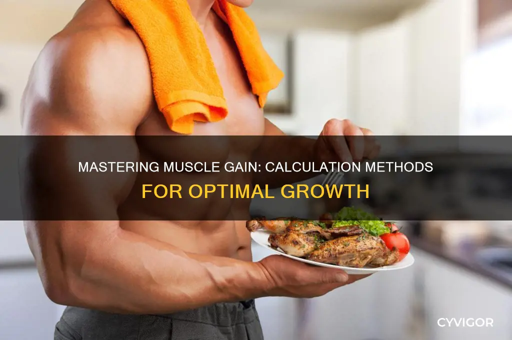 Mastering Muscle Gain: Calculation Methods For Optimal Growth | CyVigor