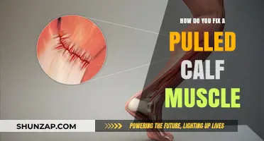 Pulled Thigh Muscle Recovery Time: What To Expect And How To Heal | CyVigor