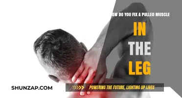 Recognizing Groin Strain Symptoms: How To Identify A Pulled Muscle ...