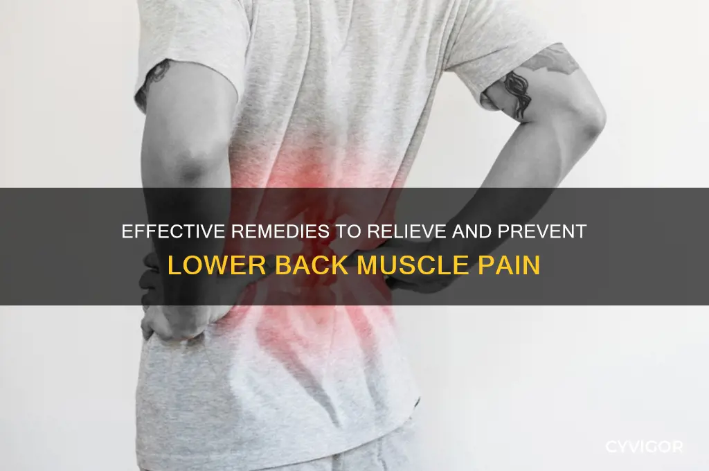 Effective Remedies To Relieve And Prevent Lower Back Muscle Pain | CyVigor