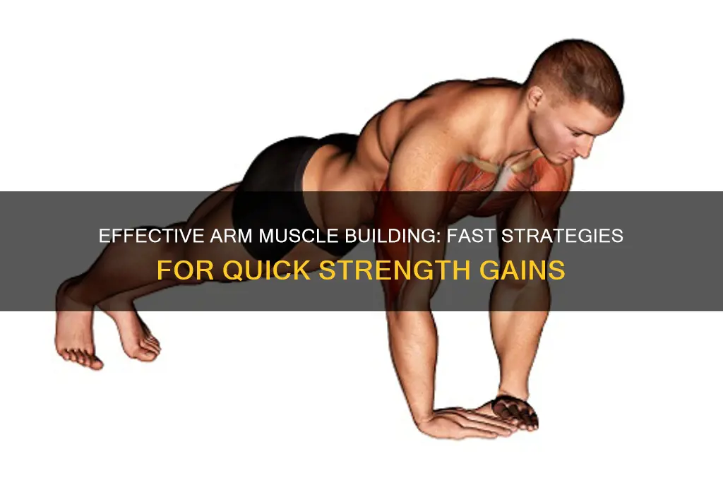 Effective Arm Muscle Building: Fast Strategies For Quick Strength Gains ...