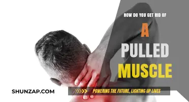 Pulled Muscle Pain Duration: What To Expect And How To Heal | CyVigor