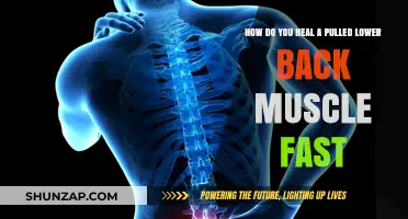 Pulled Lat Muscle: Symptoms, Causes, And Recovery Tips Explained | CyVigor