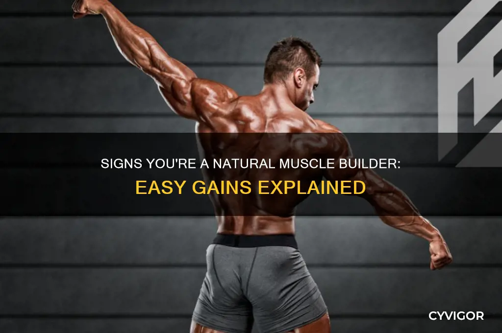 Signs You're A Natural Muscle Builder: Easy Gains Explained | CyVigor