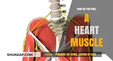 Understanding Knee Muscle Strains: Causes, Symptoms, And Prevention ...