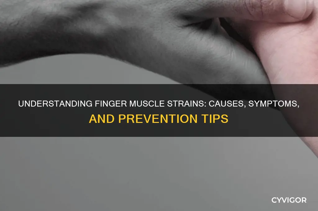 Understanding Finger Muscle Strains: Causes, Symptoms, And Prevention ...