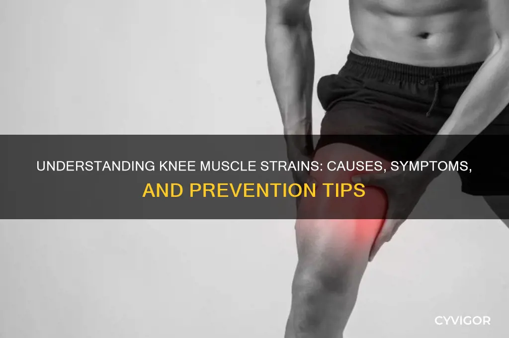 Understanding Knee Muscle Strains: Causes, Symptoms, And Prevention ...