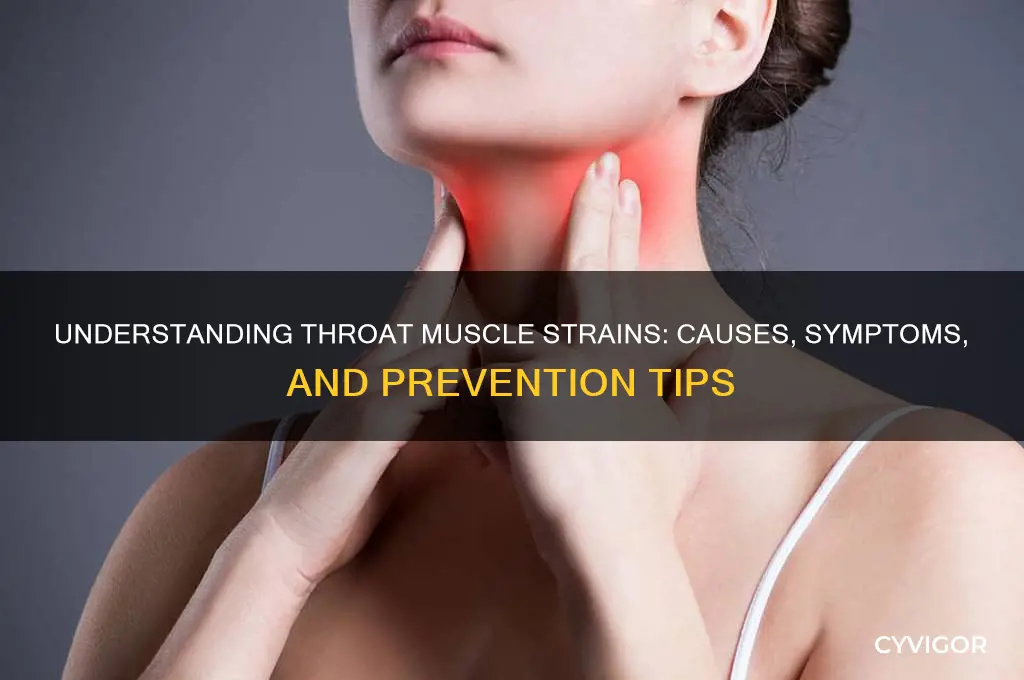Understanding Throat Muscle Strains: Causes, Symptoms, And Prevention ...